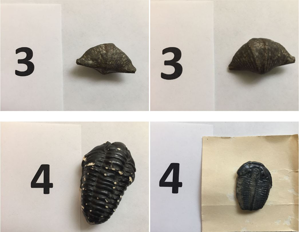 Solved ANSWER THE QUESTIONS RELATING TO EACH SAMPLE. SAMPLE | Chegg.com