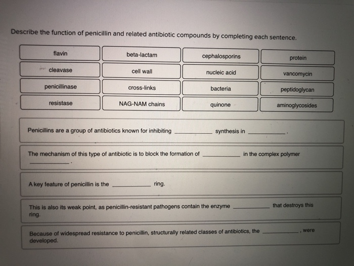 Solved Describe the function of penicillin and related | Chegg.com