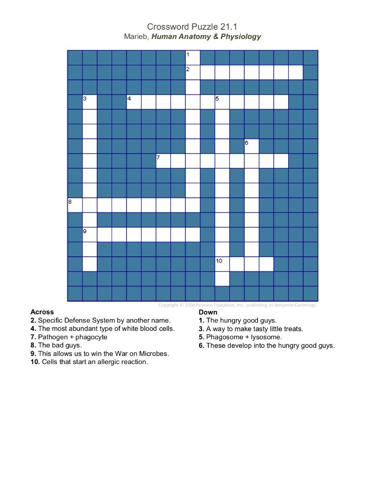 Solved Crossword Puzzle 21.1 Marieb, Human Anatomy & | Chegg.com