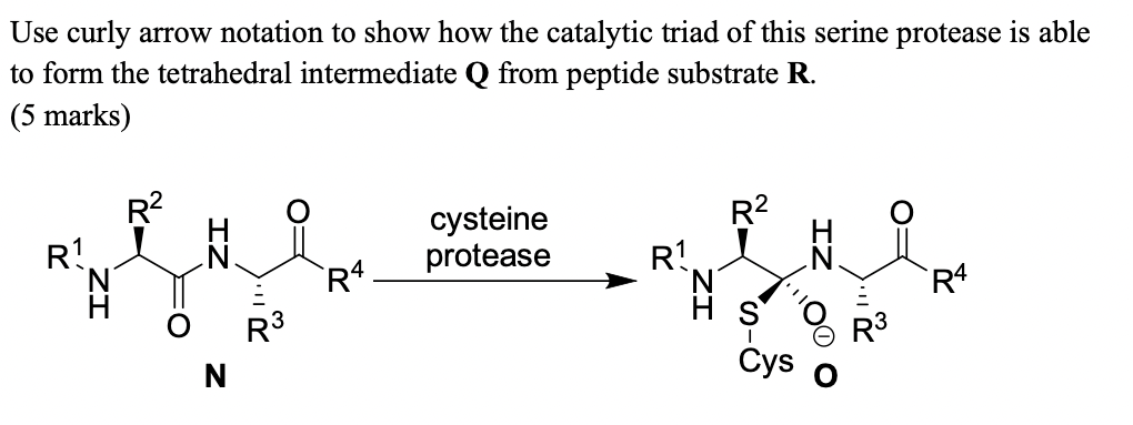 Use curly arrow notation to show how the catalytic | Chegg.com