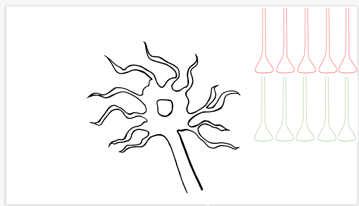 Solved 1.How do incoming presynaptic inputs decide if a cell | Chegg.com