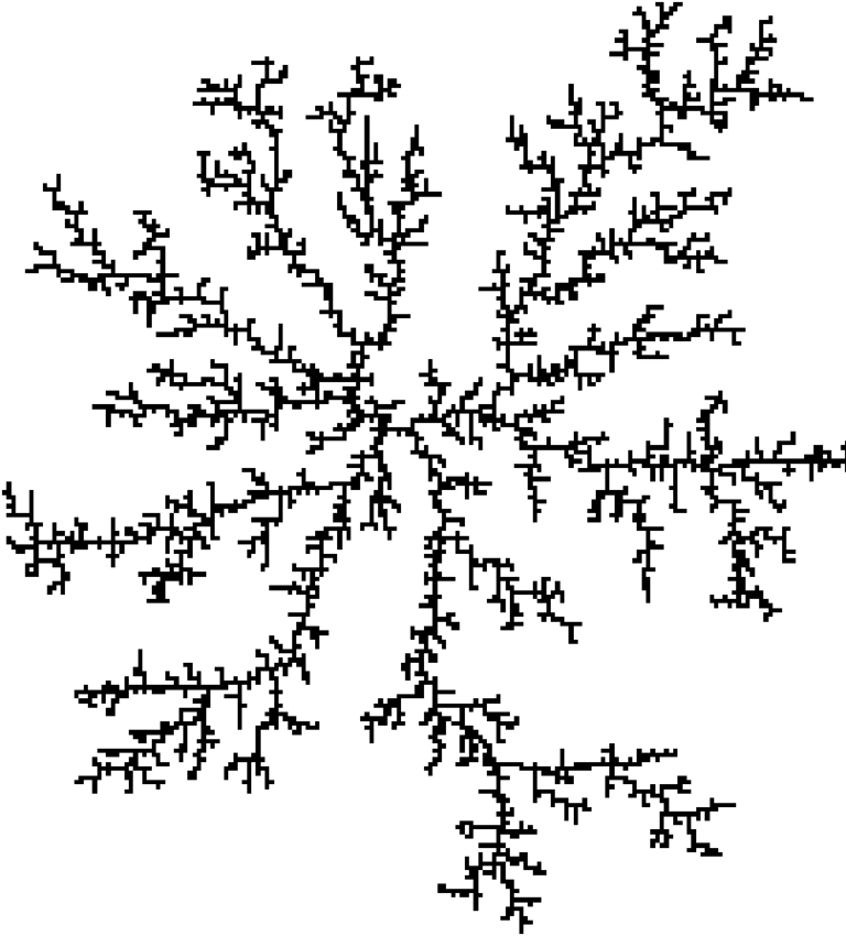 Solved Python code for Diffusion limited aggregation (DLA) | Chegg.com