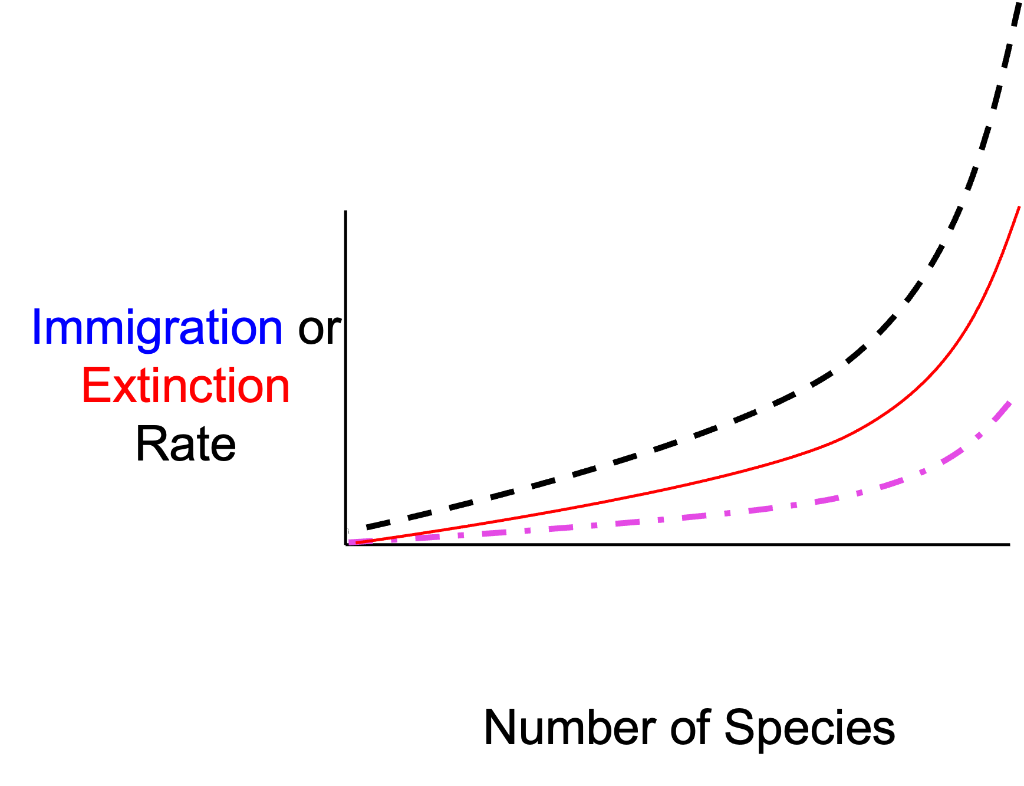 Solved Looking at the graph, the solid red line is the | Chegg.com