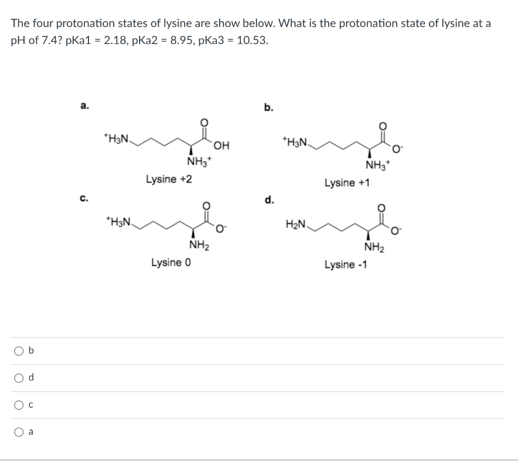 Solved The four protonation states of lysine are show below. | Chegg.com