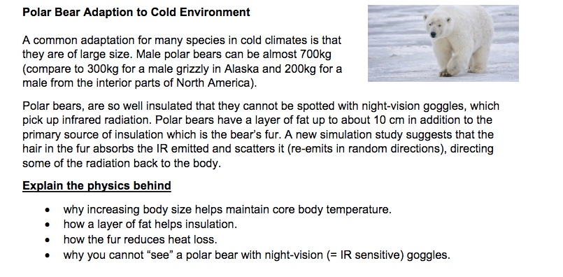 rasdom usa: Polar Bear And Its Adaptations