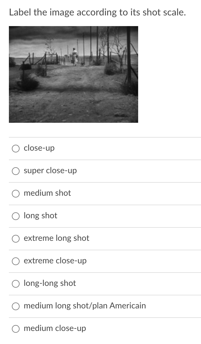 Solved Label the image according to its shot scale. O long | Chegg.com