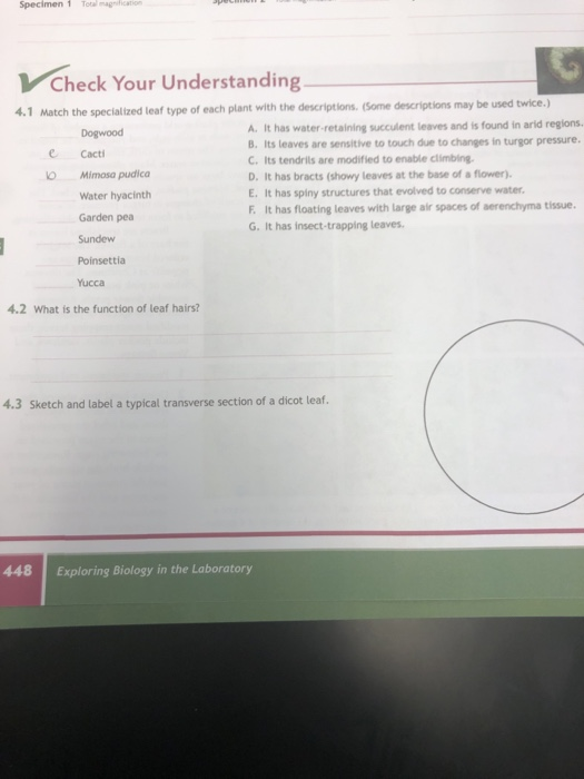 Solved Check Your Understanding 4.1 Match the specialized | Chegg.com
