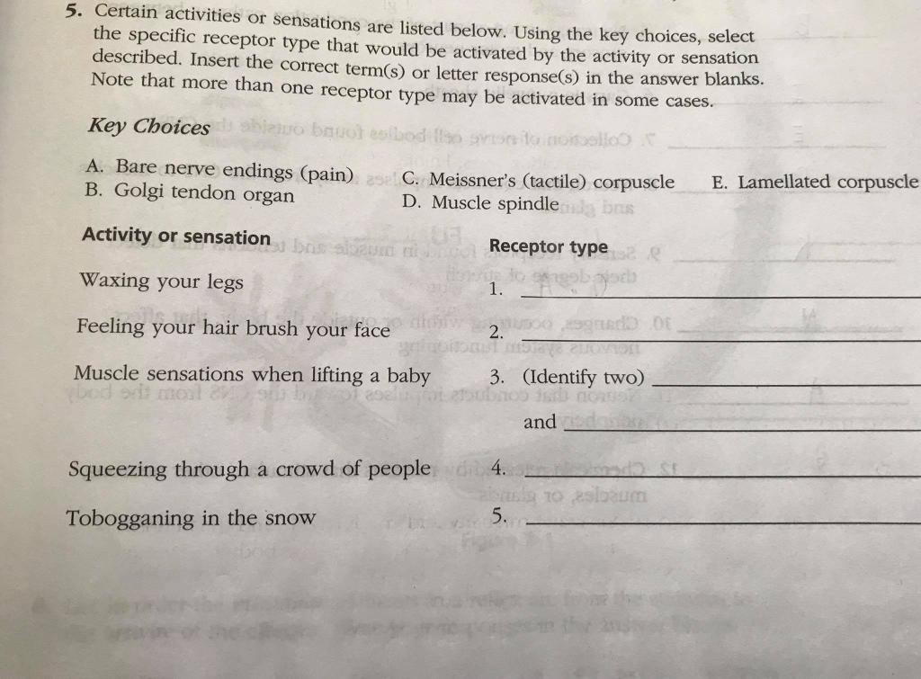 Solved 5. Certain activities or sensations are listed below. | Chegg.com