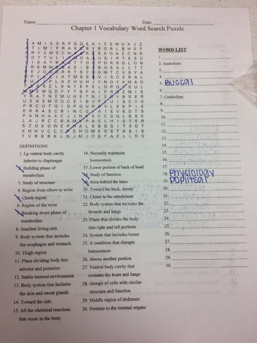 Solved Date Chapter 1 Vocabulary Word Search Puzzle WORD | Chegg.com
