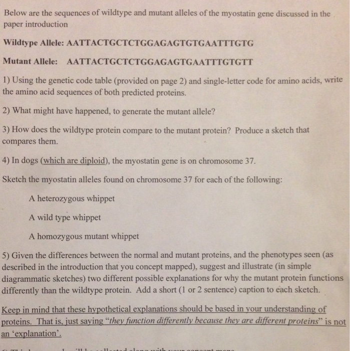 Solved Below are the sequences of wildtype and mutant | Chegg.com