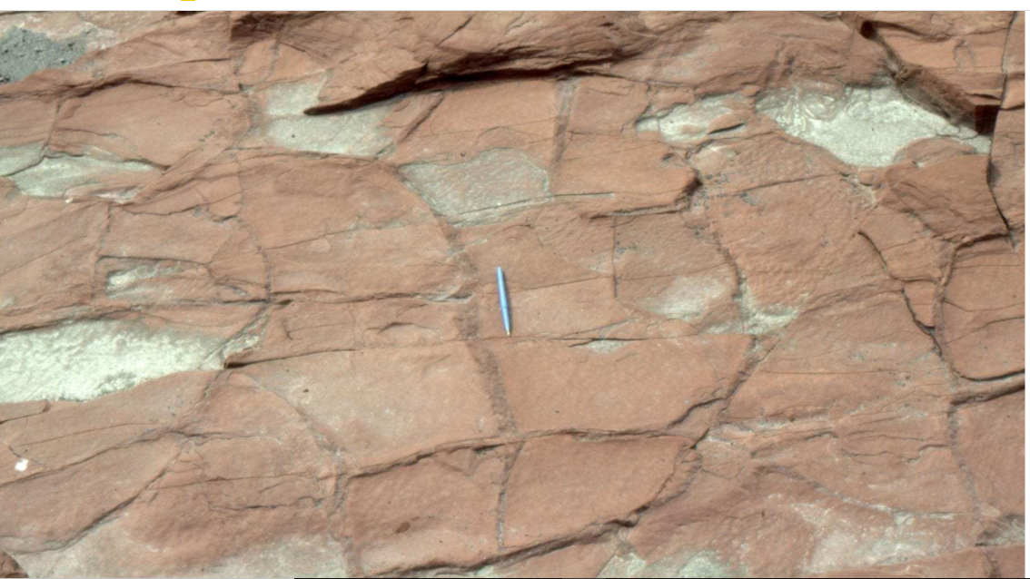 Solved Please help me with these questions. It is difficult | Chegg.com