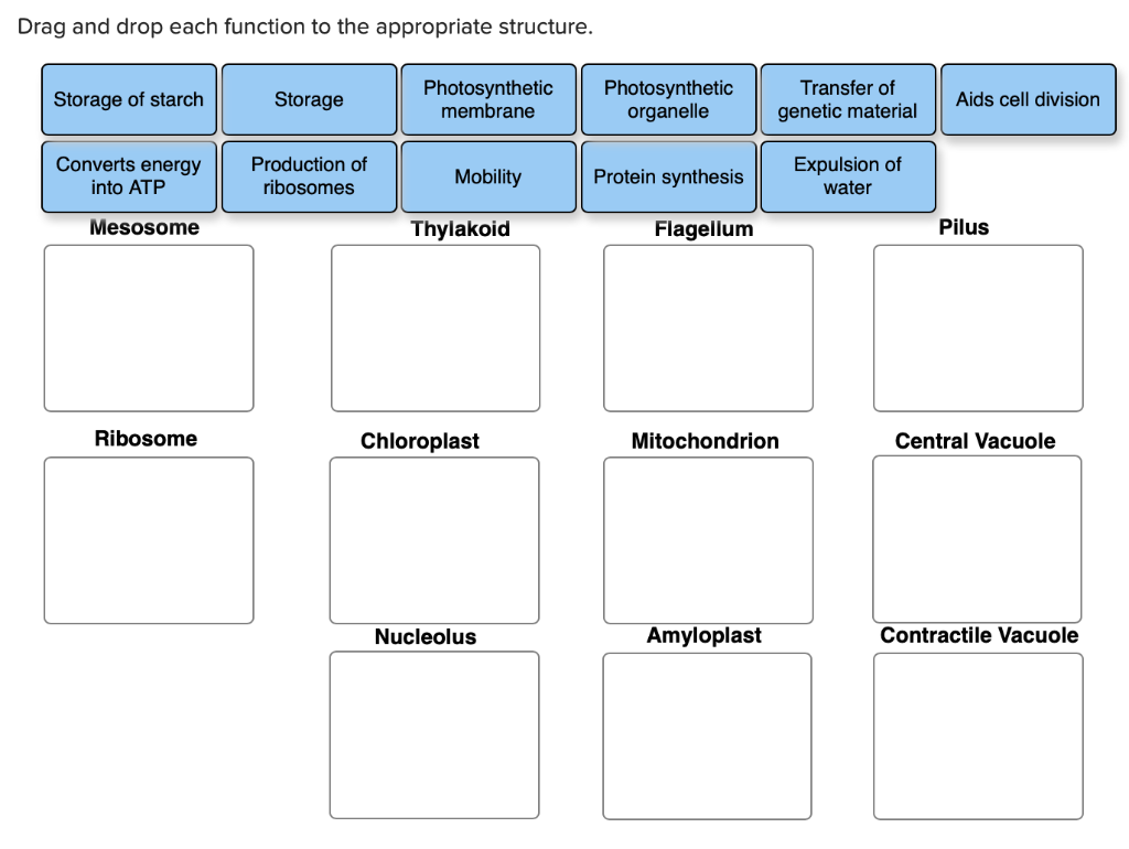 Solved Drag and drop each function to the appropriate | Chegg.com