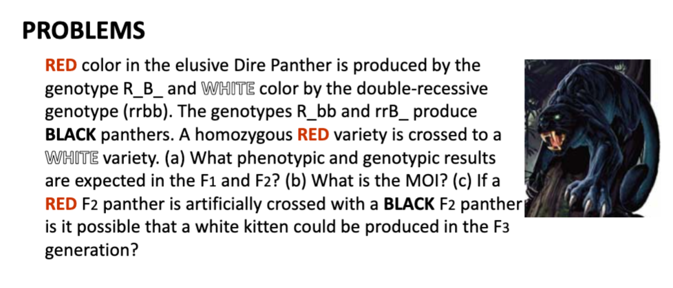 Solved PROBLEMS RED color in the elusive Dire Panther is | Chegg.com
