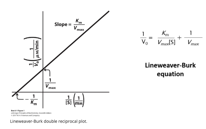 Solved Slope = Vmax 1 1 Vo = Km + Vmax[S] Vmax volum/min | Chegg.com