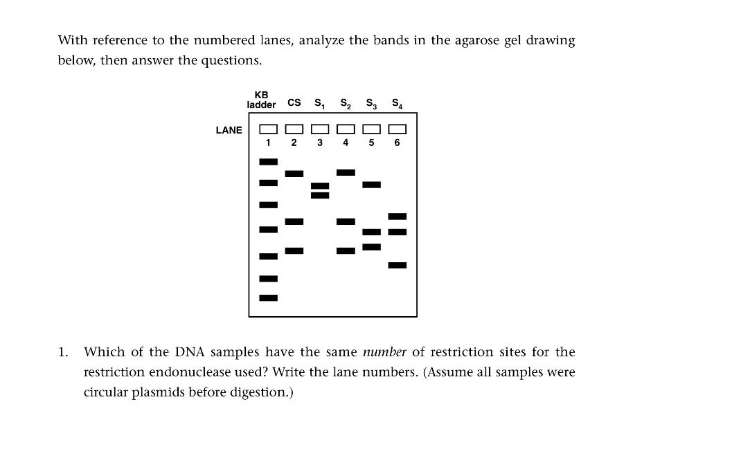 Solved With reference to the numbered lanes, analyze the | Chegg.com