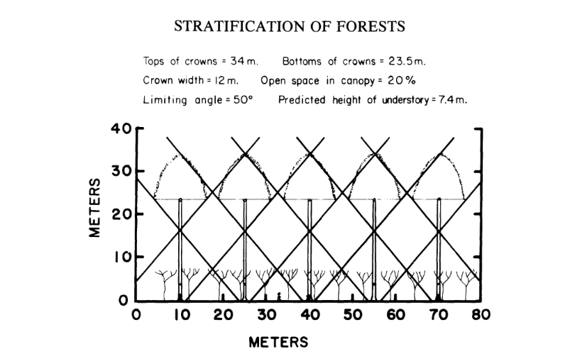 Solved 1. According to the sunfleck model, light incidence | Chegg.com