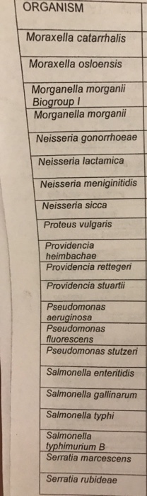Solved ORGANISM Alcaligenes faecalis Alcaligenes piechaudii | Chegg.com