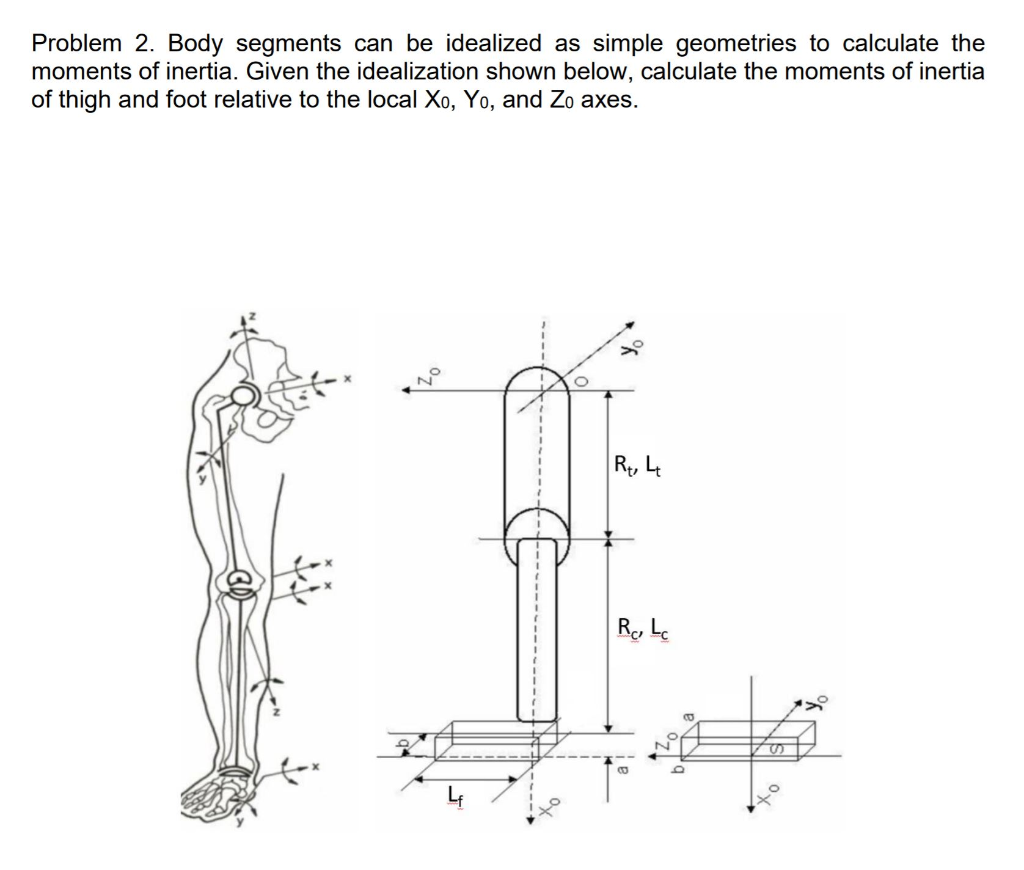 Solved Problem 2. Body segments can be idealized as simple | Chegg.com