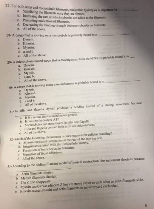 Solved 27-For both actin and microtubule filaments, | Chegg.com