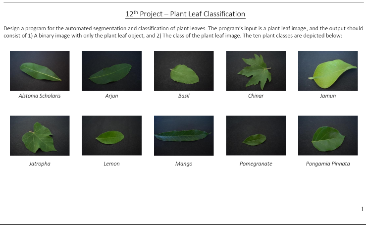 12th Project - Plant Leaf Classification Design a | Chegg.com