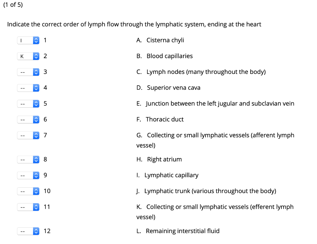 Solved Indicate the correct order of lymph flow through the | Chegg.com
