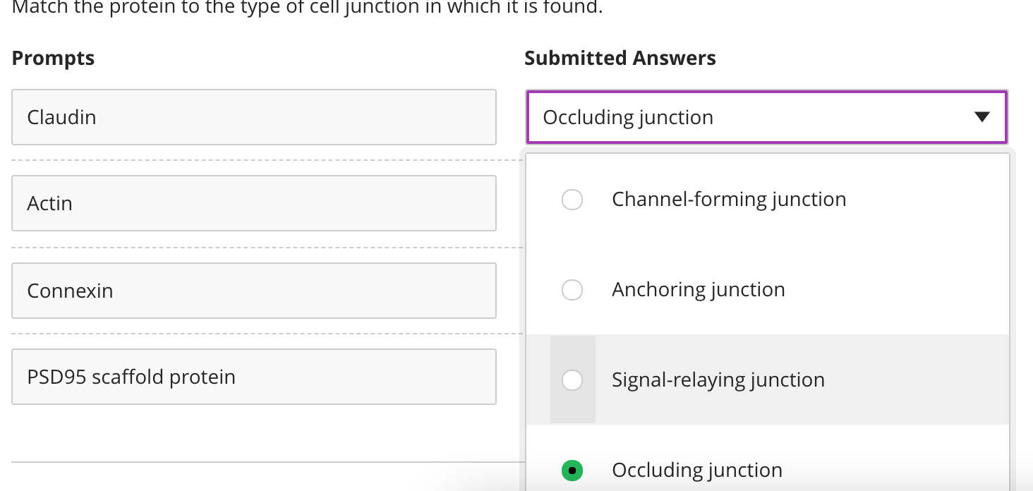 Solved Match the protein to the type of cell junction in | Chegg.com