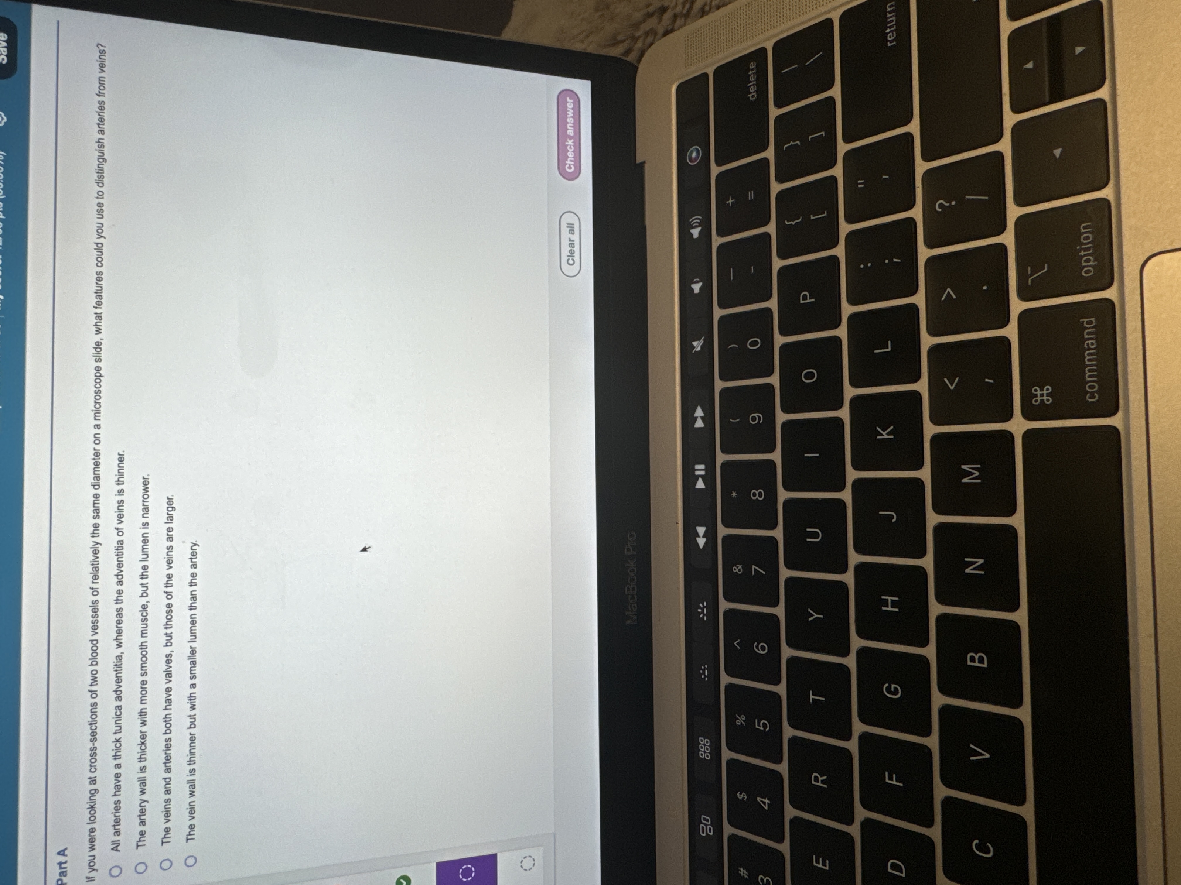 Solved Part AIf you were looking at cross-sections of two | Chegg.com
