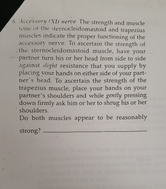 Solved 3. Accessor (XT) nerve the strength and muscle tone | Chegg.com