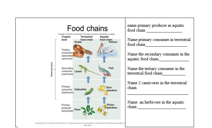 Solved: Name Primary Producer In Aquatic Food Chain Food C... | Chegg.com