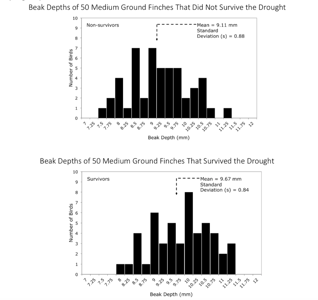 Solved Beak Depths of 50 Medium Ground Finches That Did Not | Chegg.com