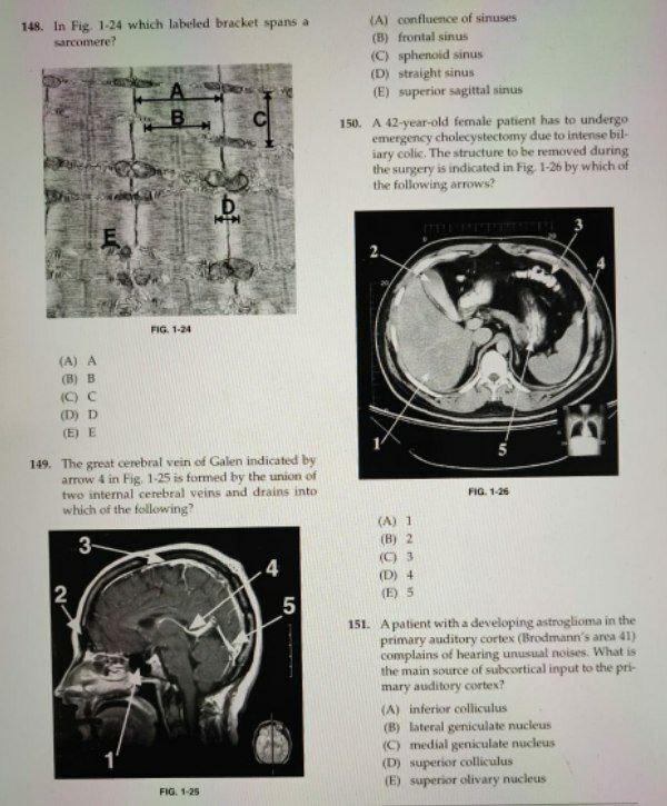 Solved 148. In Fig. 1-24 which labeled bracket spans a | Chegg.com