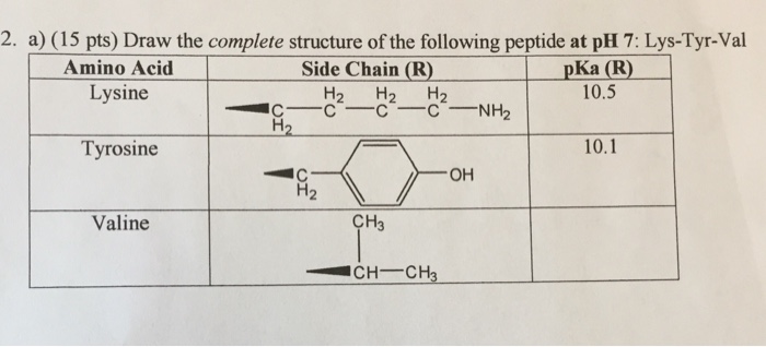 Solved A) draw th complete structure of the peptide at pH 7 | Chegg.com