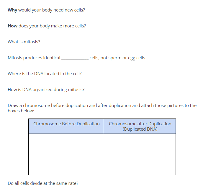 Solved Why would your body need new cells? How does your | Chegg.com