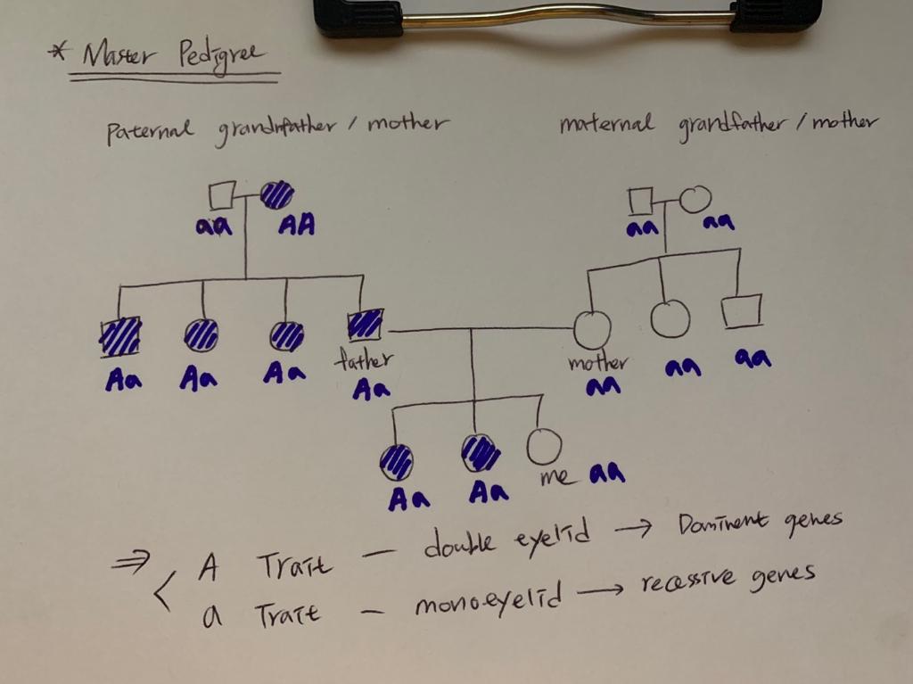 Solved Note: this part of the exercise is to be done outside | Chegg.com