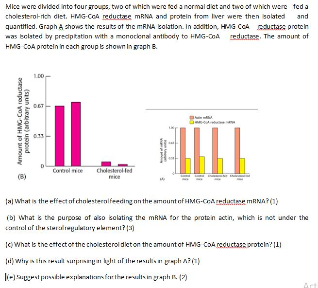 Solved Mice were divided into four groups, two of which were | Chegg.com