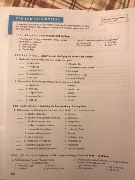 Solved PRE-LAB ASSIGNMENTS Mas To maximize learning, BEFORE | Chegg.com