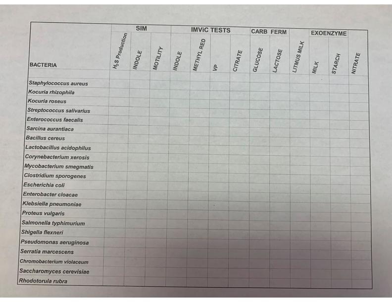 SIM IMVIC TESTS CARB FERM EXOENZYME BACTERIA | Chegg.com