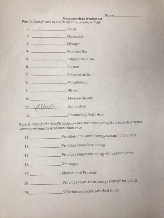 Solved Name: Macronutrient Worksheet Part A. Classify each | Chegg.com