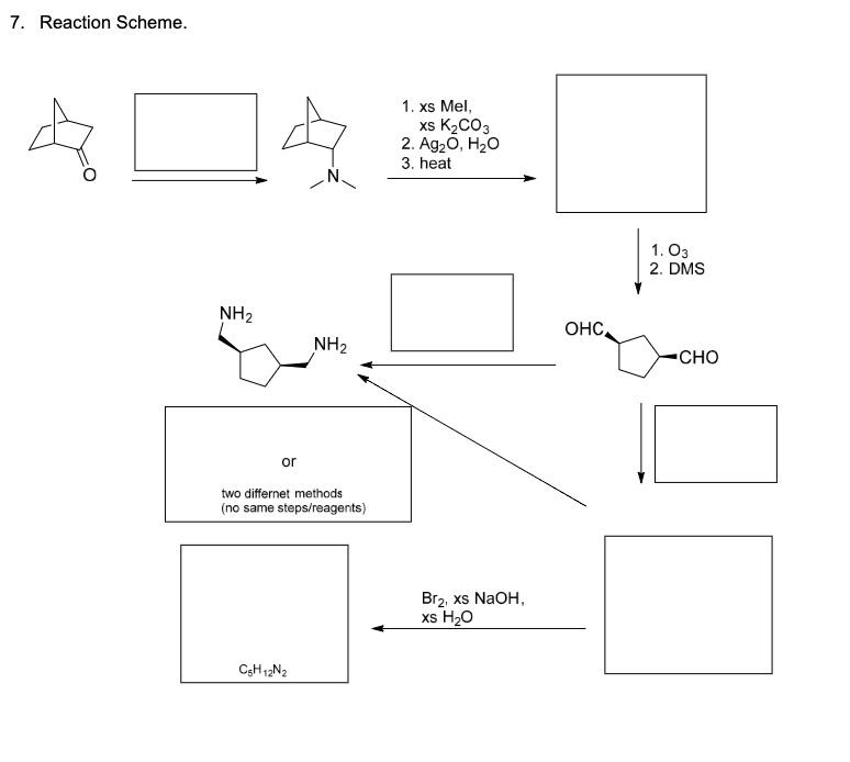 Solved 7. Reaction Scheme. | Chegg.com
