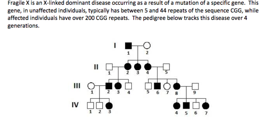 Solved Fragile X is an X-linked dominant disease occurring | Chegg.com