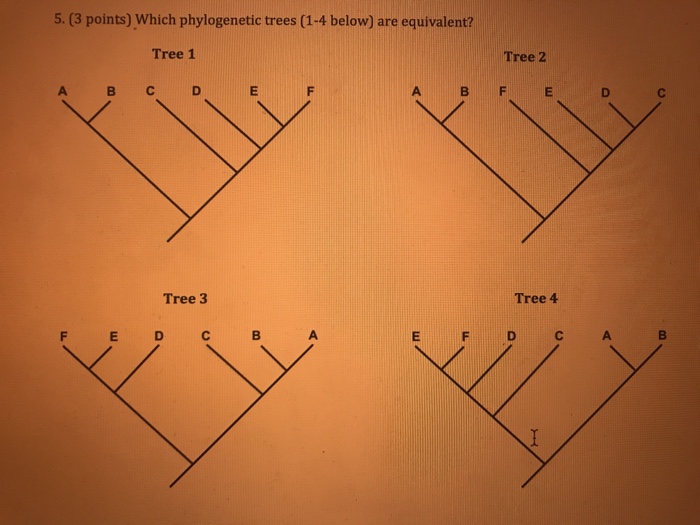 Solved 5. (3 points) which phylogenetic trees (1-4 below) | Chegg.com