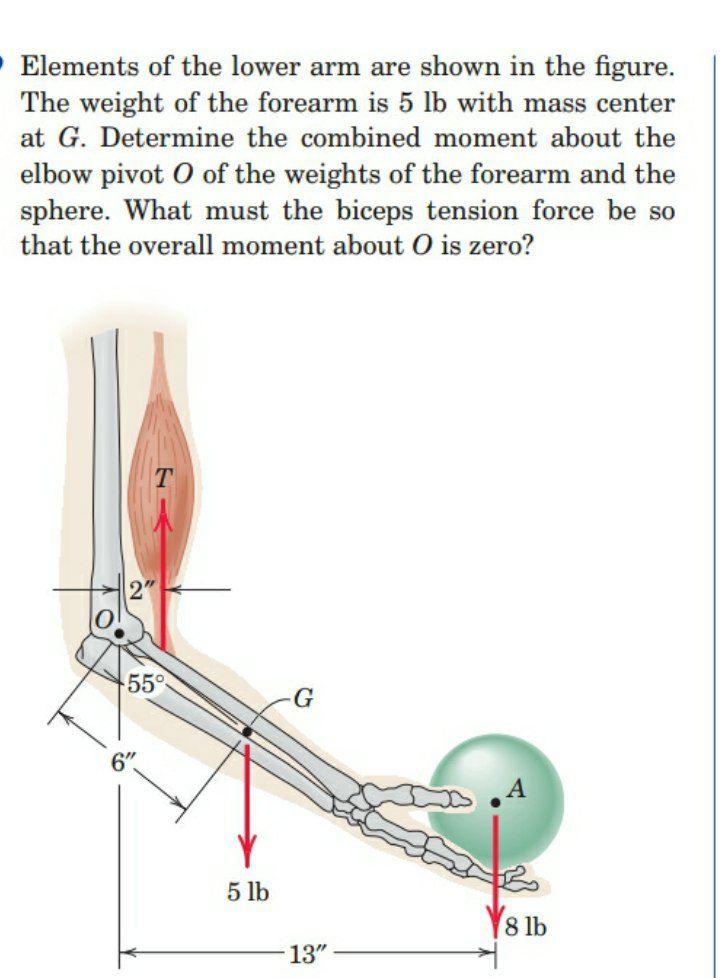 Solved Elements of the lower arm are shown in the figure. | Chegg.com