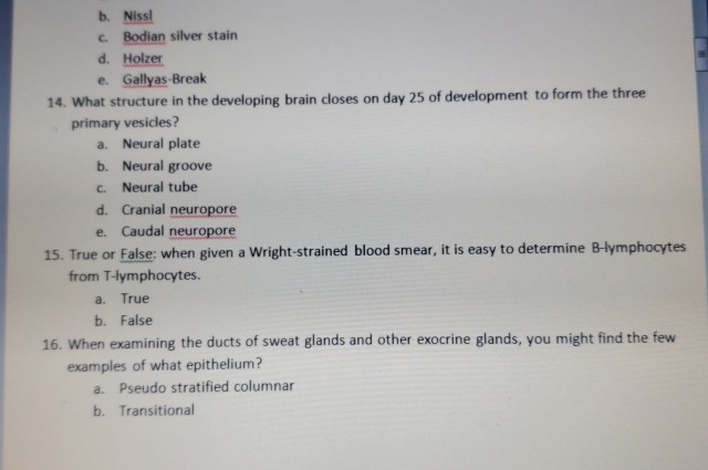 Solved b. Niss! c Bodian silver stain d. Holzer e. | Chegg.com