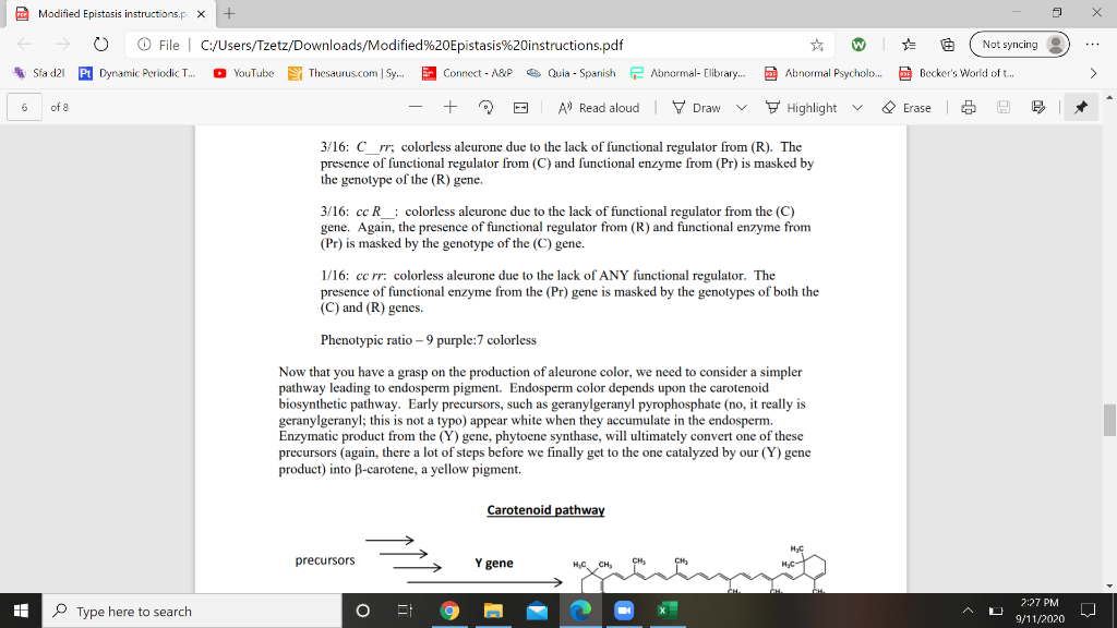 Colored Aleurone Colorless Aleurone Ear Type Parental | Chegg.com