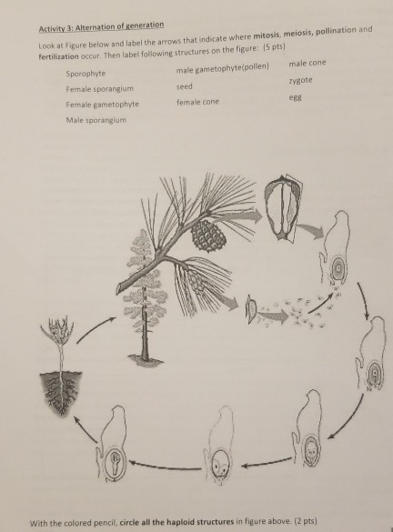 Solved Look at Figure below and label the arrows that | Chegg.com