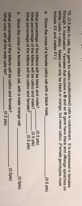 Solved 10. (3.5 pts) In cats, the gene for calico | Chegg.com