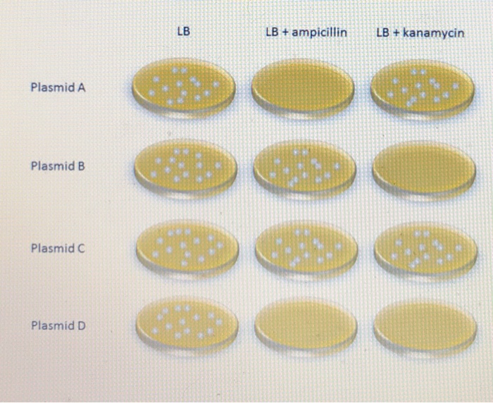 Solved Have a look at the figure and answer the following | Chegg.com