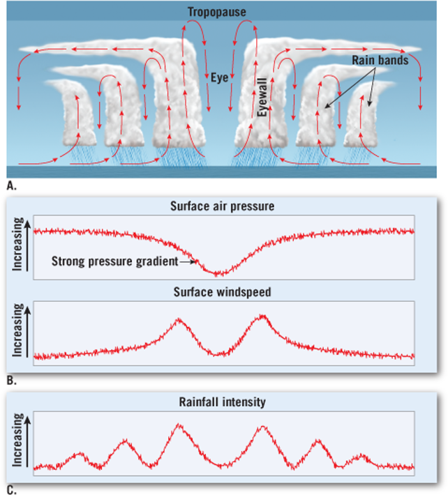 Solved Judging from the following plots, why is it that the | Chegg.com