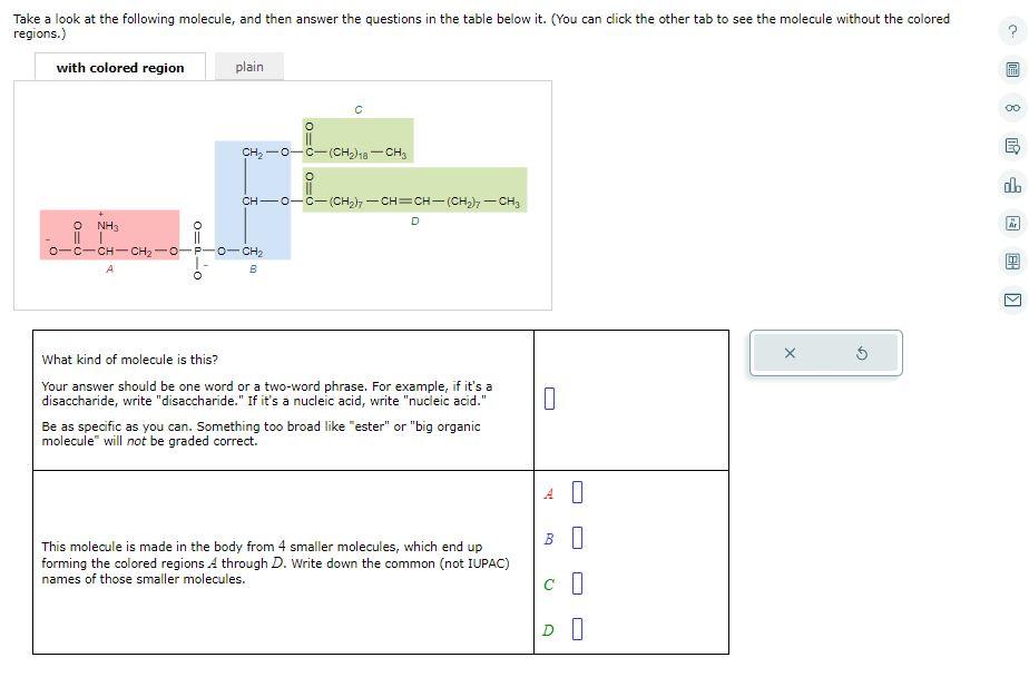 Solved Take a look at the following molecule, and then | Chegg.com