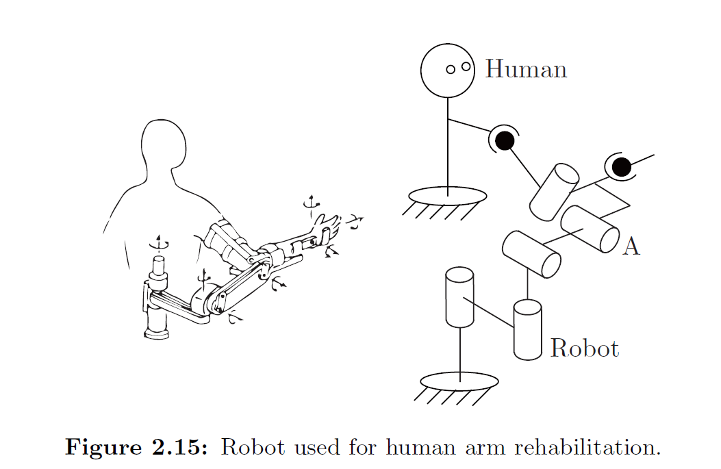 In the previous exercise, we assumed that your arm is | Chegg.com
